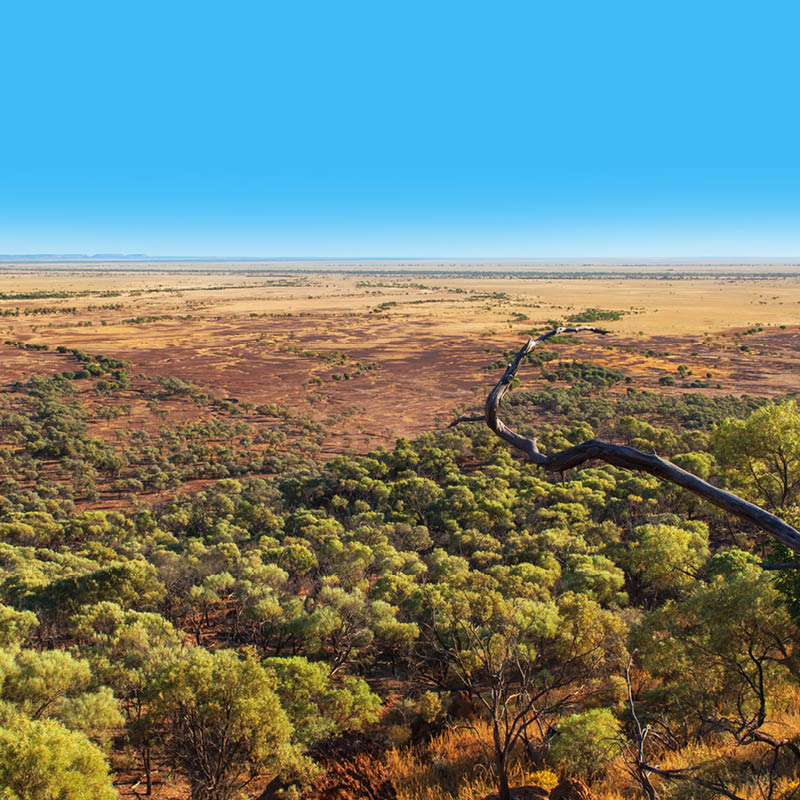 Rail Coach Exploration Of Queensland Travelrite International rail-coach-exploration-of-queensland-travelrite-international